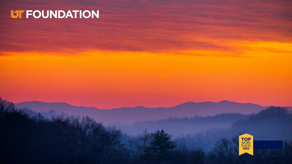 Logo Downloads – UTFI